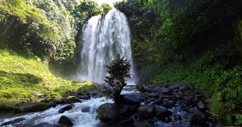 Keindahan Alami Jantur Inar yang Menawan di Kalimantan Timur - www ...